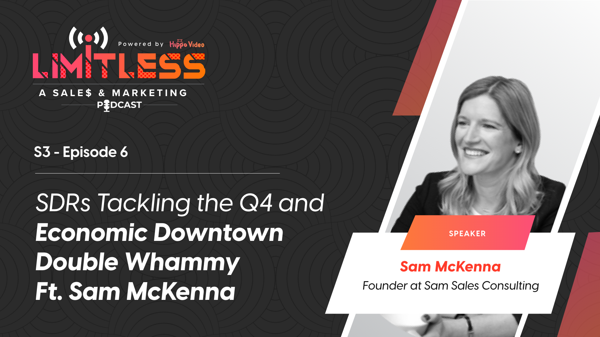 SDRs Tackling the Q4 and Economic Downtown Double Whammy Ft. Sam McKenna